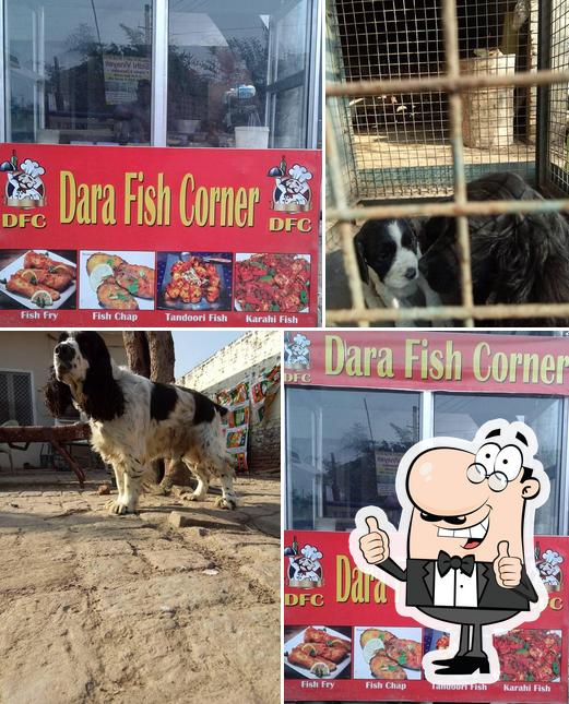 Dara fish corner, Bhogpur - Restaurant menu, prices and reviews