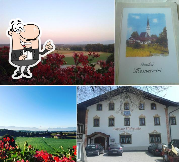 Mesnerwirt Marienberg restaurant, Schechen - Restaurant menu and reviews