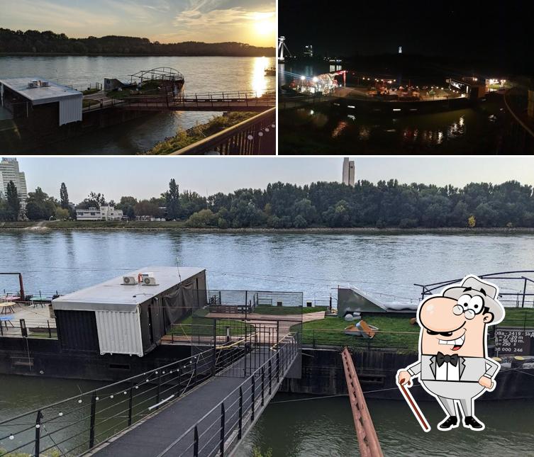 PINK WHALE pub & bar, Bratislava - Restaurant reviews
