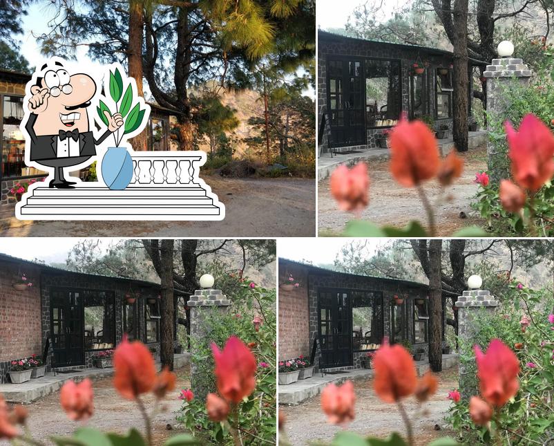 Babs' Cafe In The Woods; By Reservation Only, Bhimtal - Restaurant menu ...