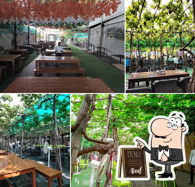 GRAPE EMBASSY & ZATKA MISAL, Nashik - Restaurant menu, prices and reviews