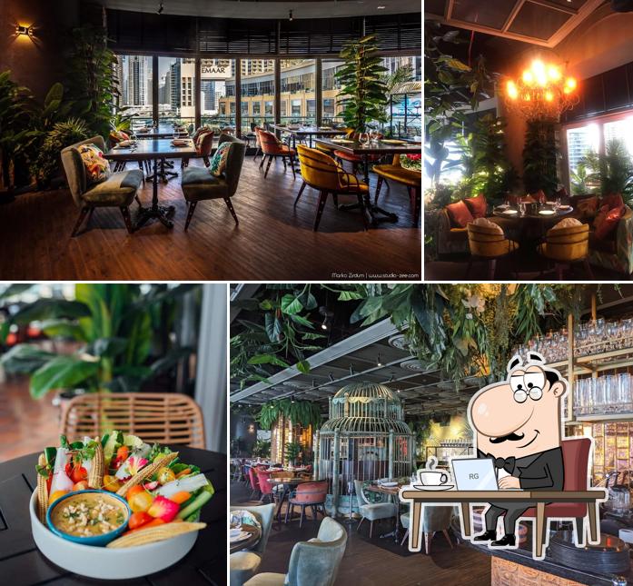 Top 5 restaurants with frog legs in Dubai, october 2025 - Restaurant Guru