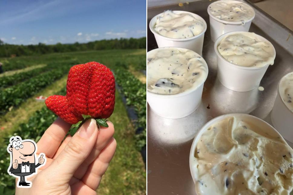 Pixie Ice Cream Company, Estados Unidos
