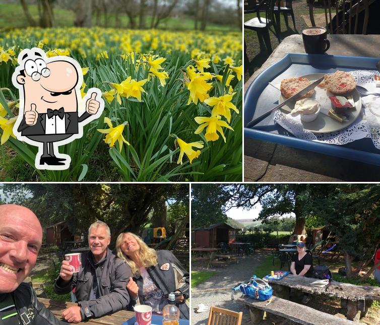The Daffy Caffy in Farndale East - Restaurant reviews