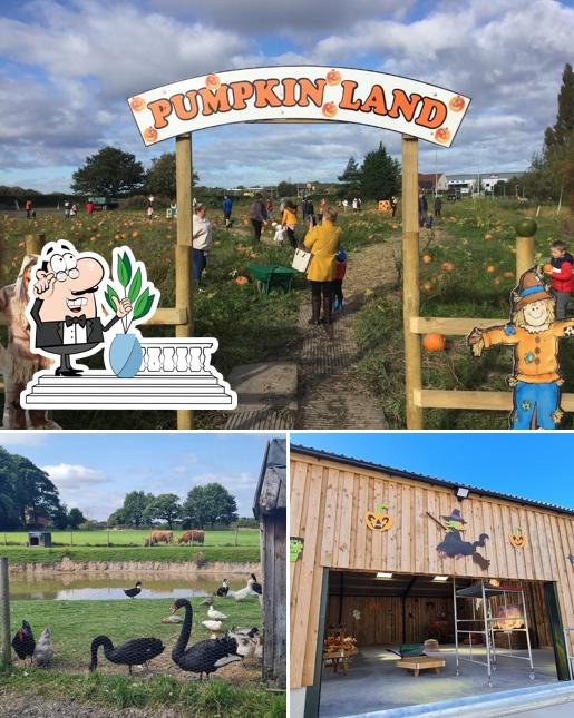 Grange Farm Lowton, Warrington - Restaurant menu, prices and reviews
