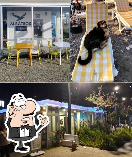Albatros beach No 32, Turquía - Restaurant reviews