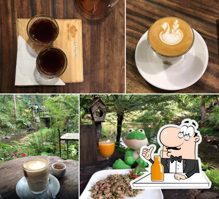 Nine One Coffee ริมธารบ้านเมี่ยง cafe, Pa Miang, 28VR+XVG - Restaurant ...