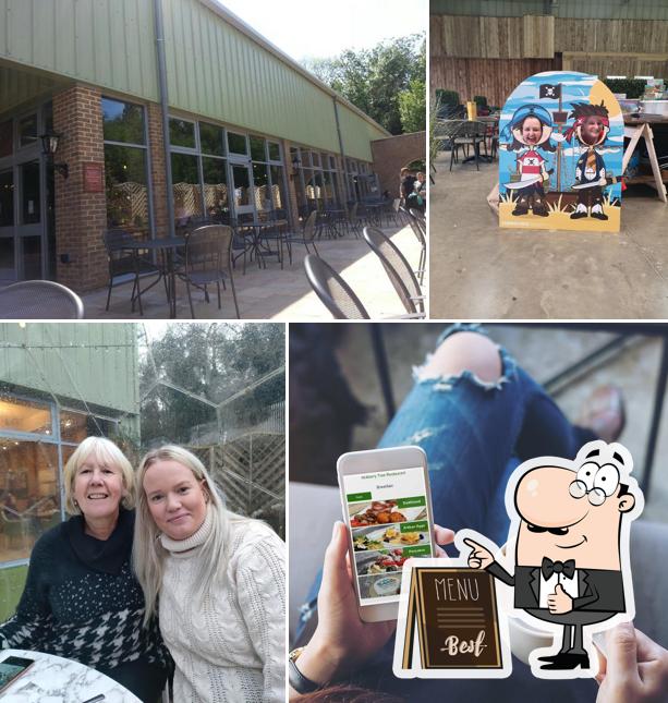 The Mulberry Tree Restaurant, Ruxley Manor Garden Centre in Sidcup ...