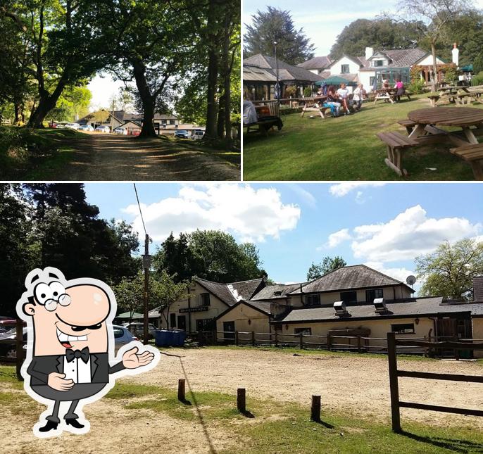 The High Corner Inn, Linwood in Ringwood - Restaurant reviews