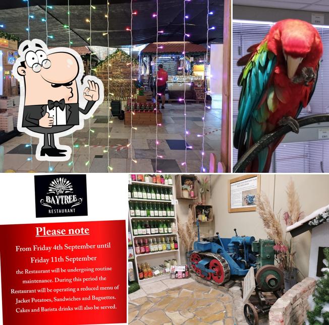 Baytree Garden Centre in Spalding - Restaurant reviews