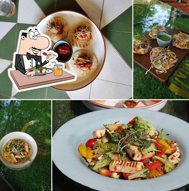 MUSE, Ahmedabad - Restaurant menu, prices and reviews
