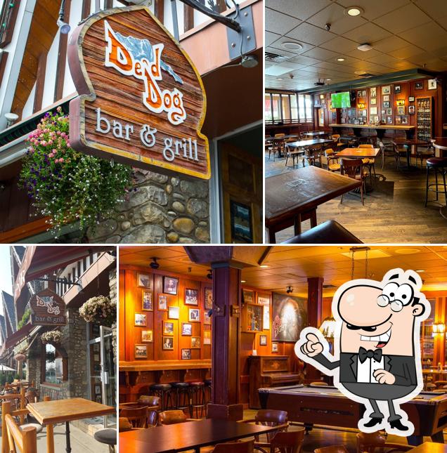 Top 5 pubs & bars in Jasper, Alberta, october 2025 - Restaurant Guru