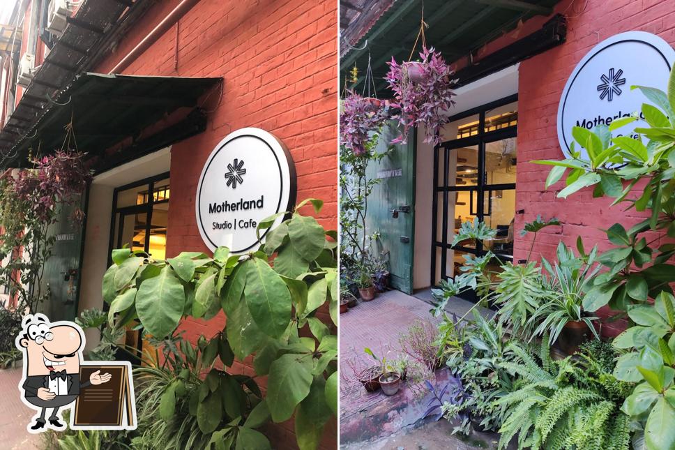 Motherland Cafe, Kolkata - Restaurant menu, prices and reviews