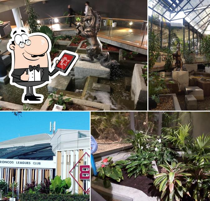 Broncos Club, 98 Fulcher Rd in Brisbane City - Restaurant reviews