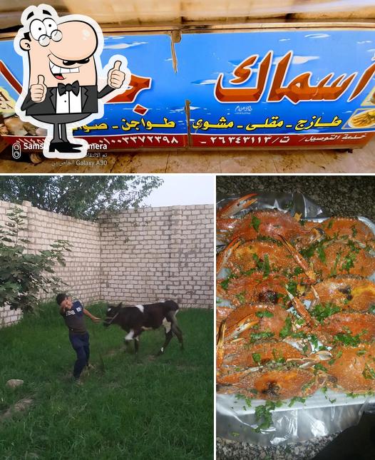 Goha seafood restaurant, Ain Shams - Restaurant reviews