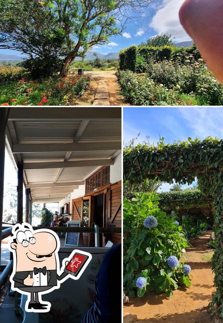 Chart Farm restaurant, Cape Town - Restaurant reviews