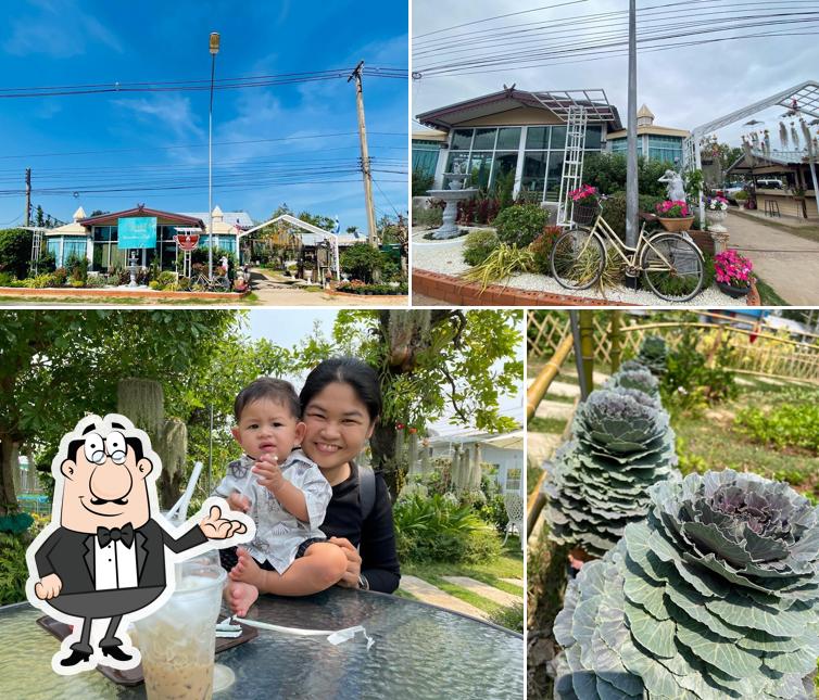 Grandma’s Cafe แกรนด์มาคาเฟ่, Tha Tum - Restaurant reviews