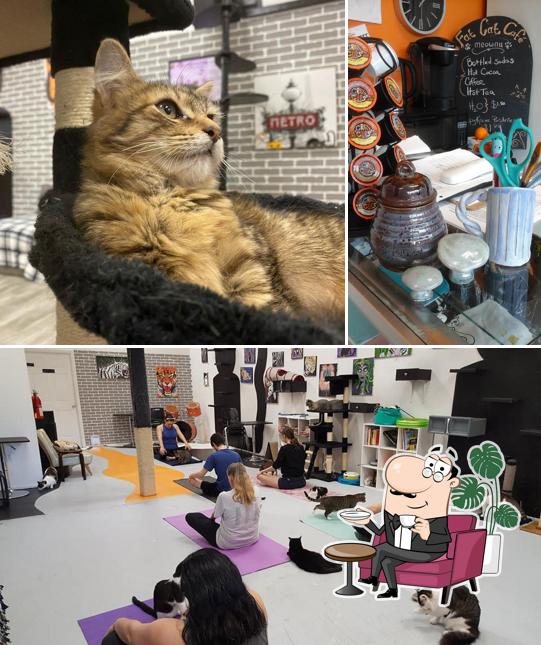 Fat Cat Cafe, Tallahassee - Restaurant menu, prices and reviews