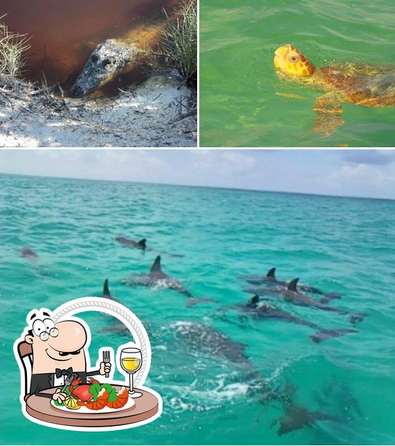 Muelle Viejo, Tulum - Menú del restaurante, precios y reseñas