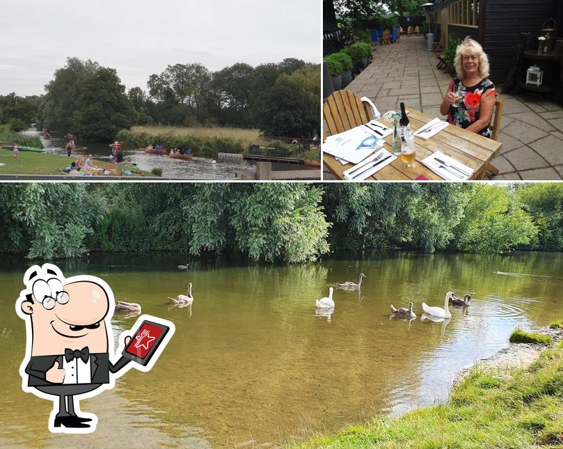 The Boatyard Dedham, Colchester - Restaurant menu, prices and reviews