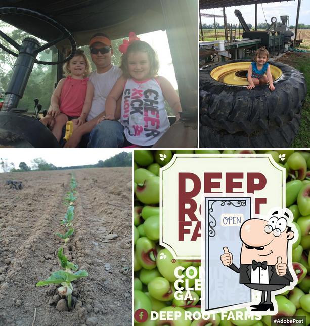 Deep Root Farm - Menú del restaurante, precios y reseñas