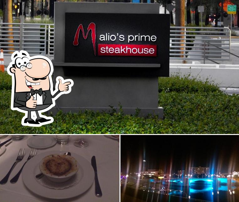 Malio's, Tampa - Restaurant menu, prices and reviews