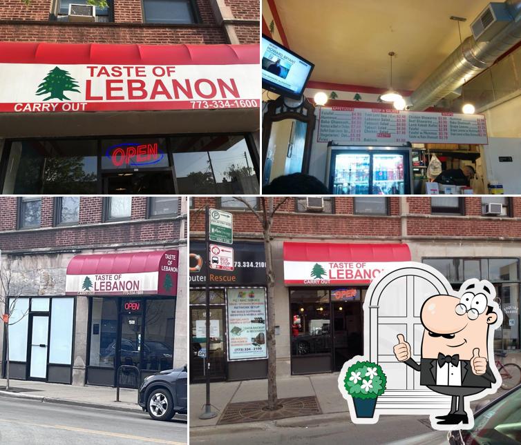 Taste of Lebanon Restaurant, Chicago - Restaurant menu, prices and reviews