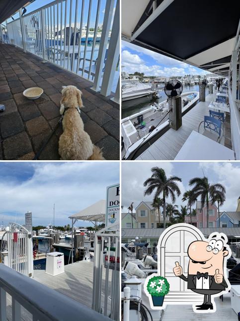 The Nauti Dawg Waterfront Restaurant & Bar, Lighthouse Point ...