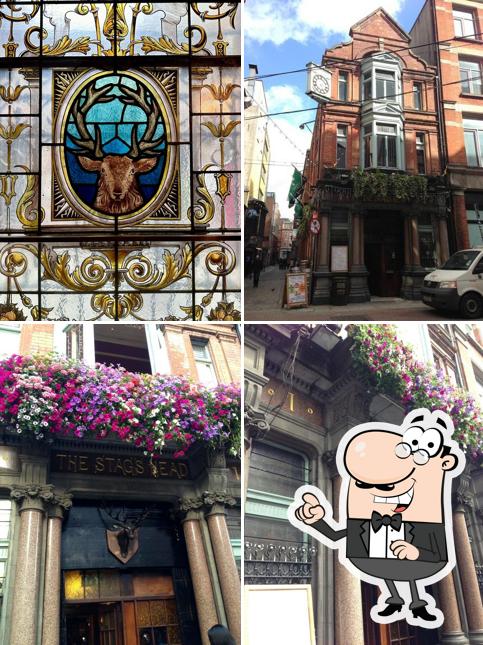 The Stags Head, Dublin - Restaurant menu, prices and reviews