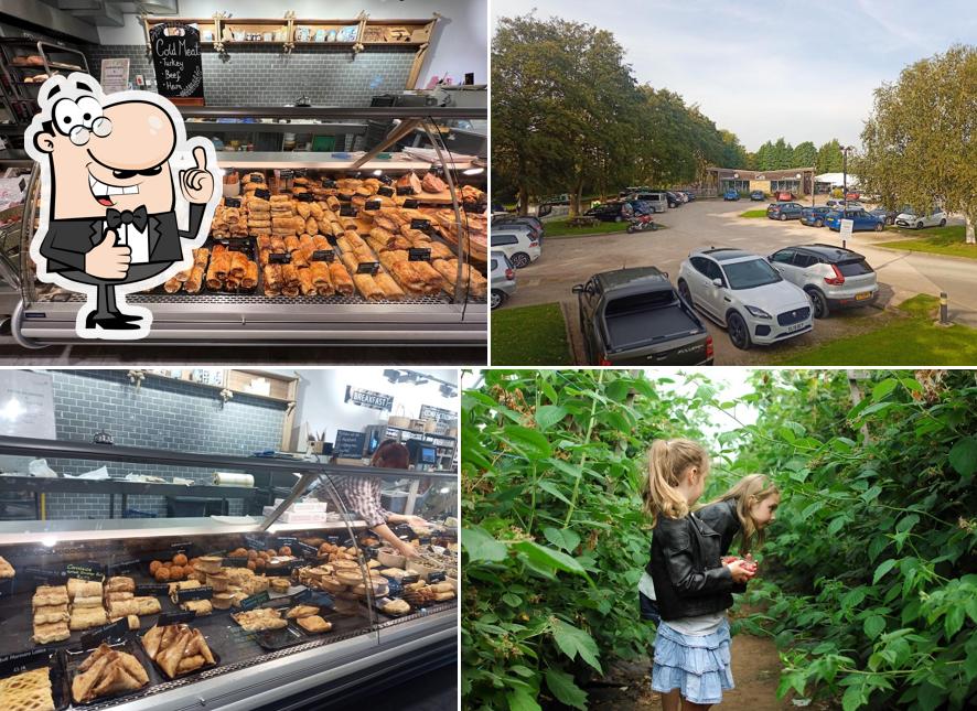 Canalside Farm, Shop & Cafe in Stafford - Restaurant reviews