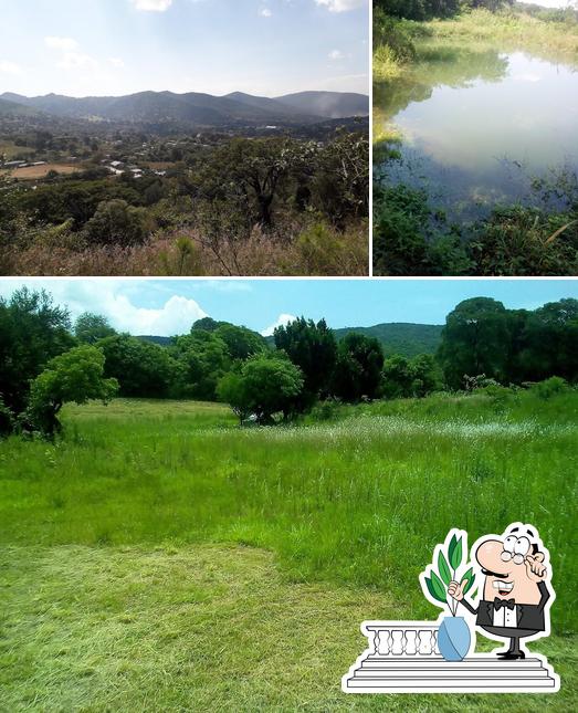La Amolonca La Ascensión Zumpahuacán Edo.De Mexico, Zumpahuacán - Menú ...