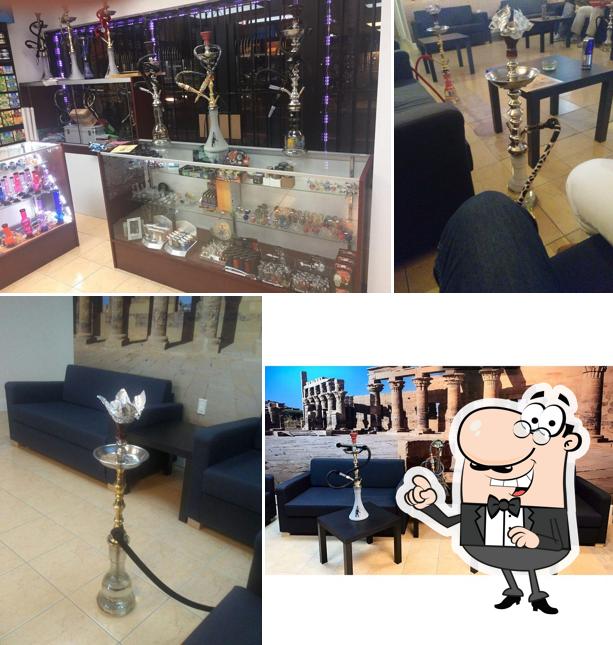 Pharaoh Hookah & Cigar Lounge in Miami - Restaurant reviews