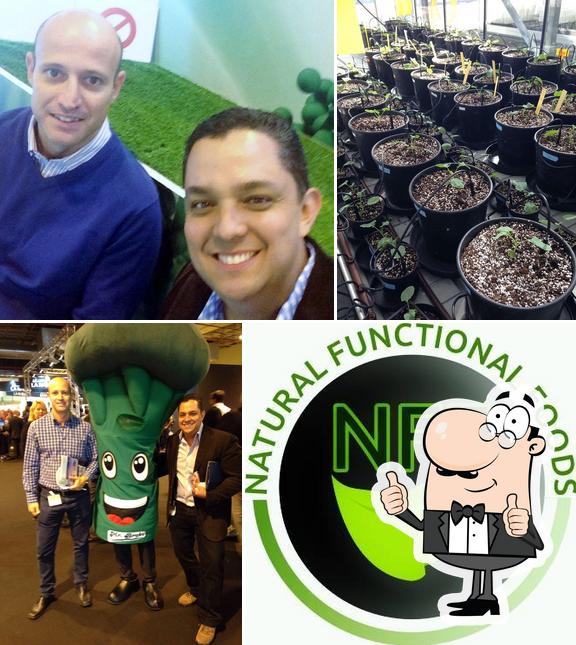 Natural Functional Foods in Tudela