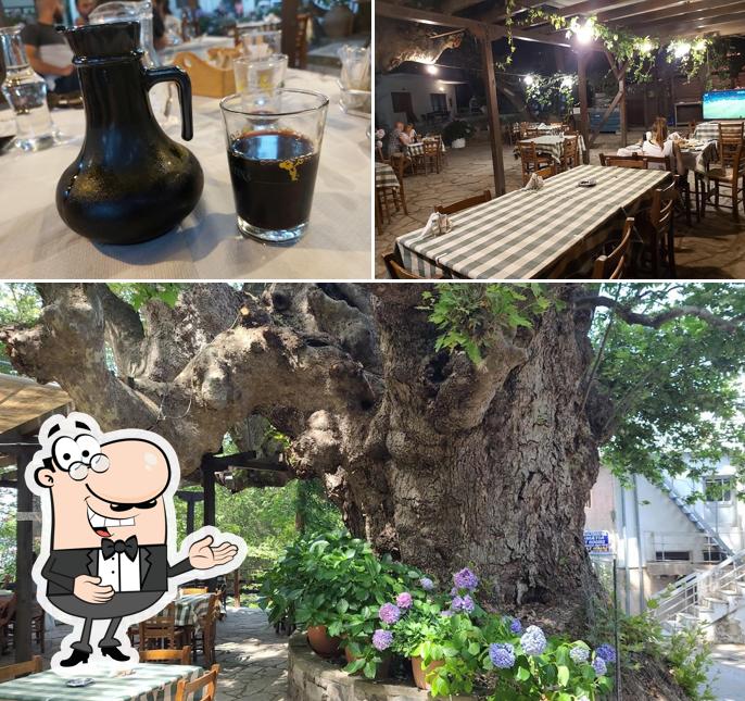 Ταβερνα Παραδεισος, Therma - Restaurant reviews