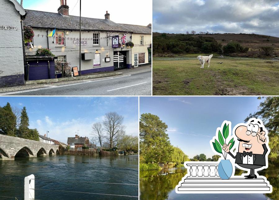 The George in Fordingbridge - Restaurant menu and reviews