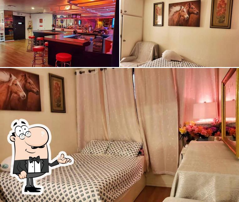 Sue S Fantasy Club Legal Brothel Reviews