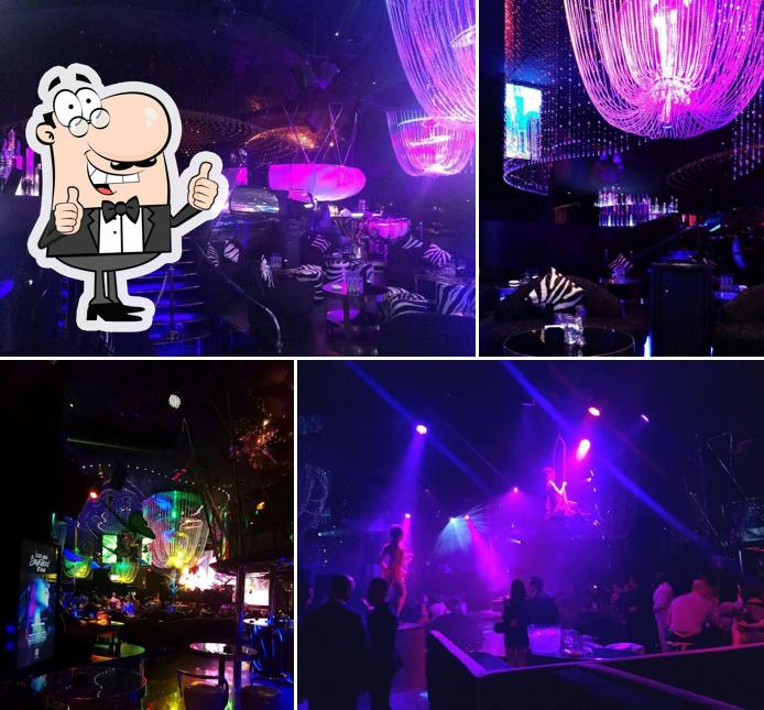 Cavalli Club, Dubai - Restaurant menu, prices and reviews