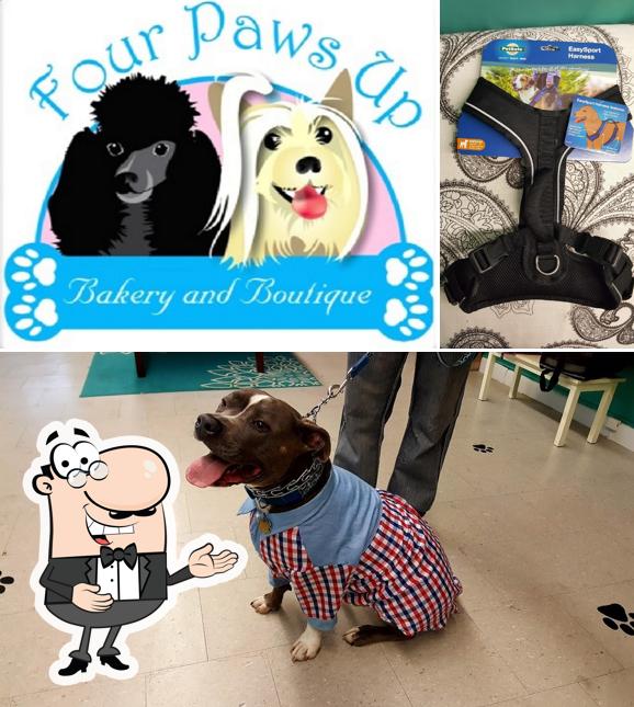 Four Paws Up Bakery & Boutique in Fairhaven - Restaurant reviews
