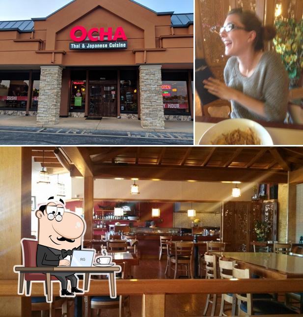 Ocha Thai & Japanese Cuisine in Creve Coeur - Restaurant menu and reviews