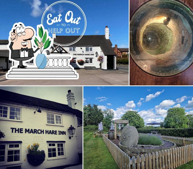 The March Hare Inn in Worcester - Restaurant reviews