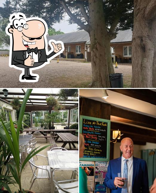 The Flying Fish Pub & Restaurant in Broadway - Restaurant reviews