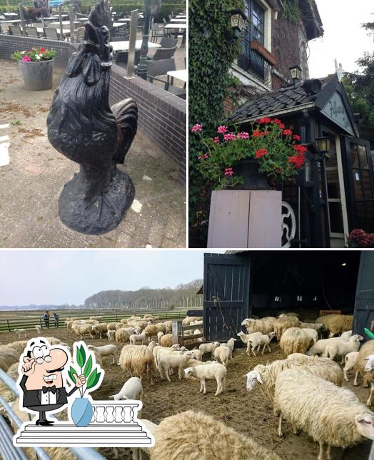 Juffrouw Tok Ede, Ede - Restaurant menu and reviews