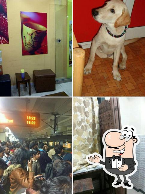 Froot Cafe, Mumbai - Restaurant menu, prices and reviews