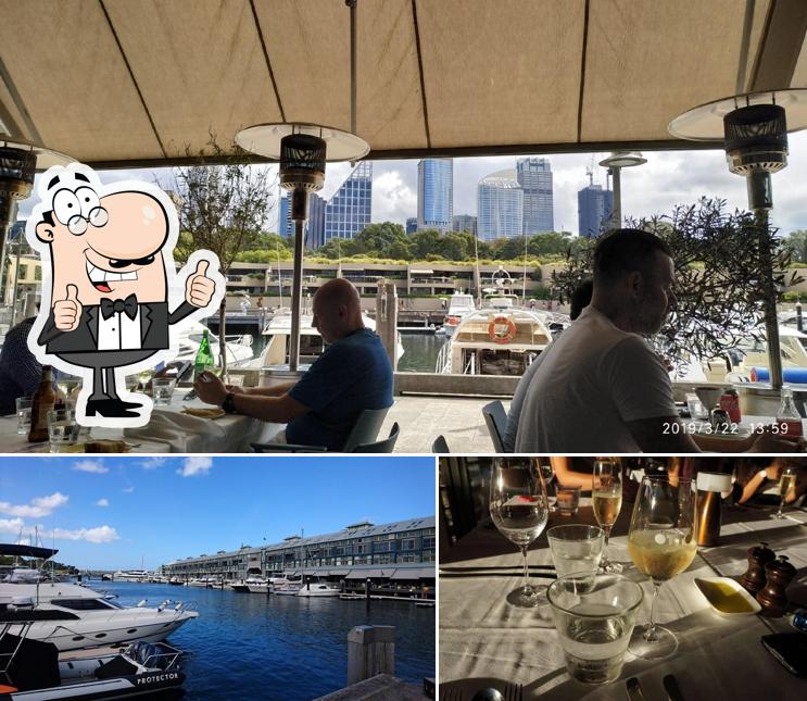 OTTO Ristorante in Woolloomooloo - Italian restaurant menu and reviews