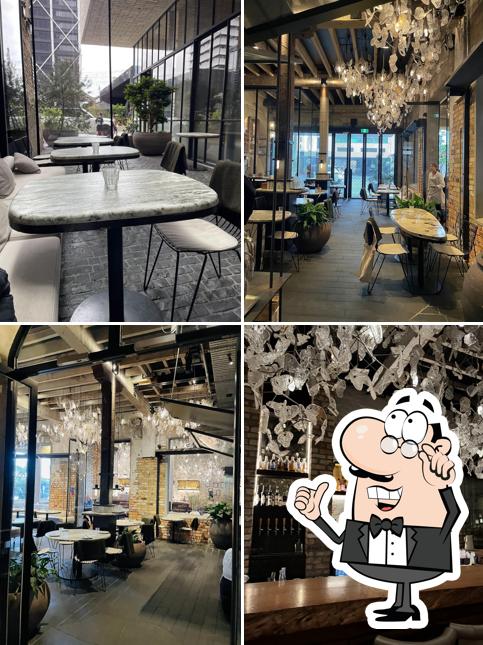 kingi, Auckland - Restaurant menu, prices and reviews
