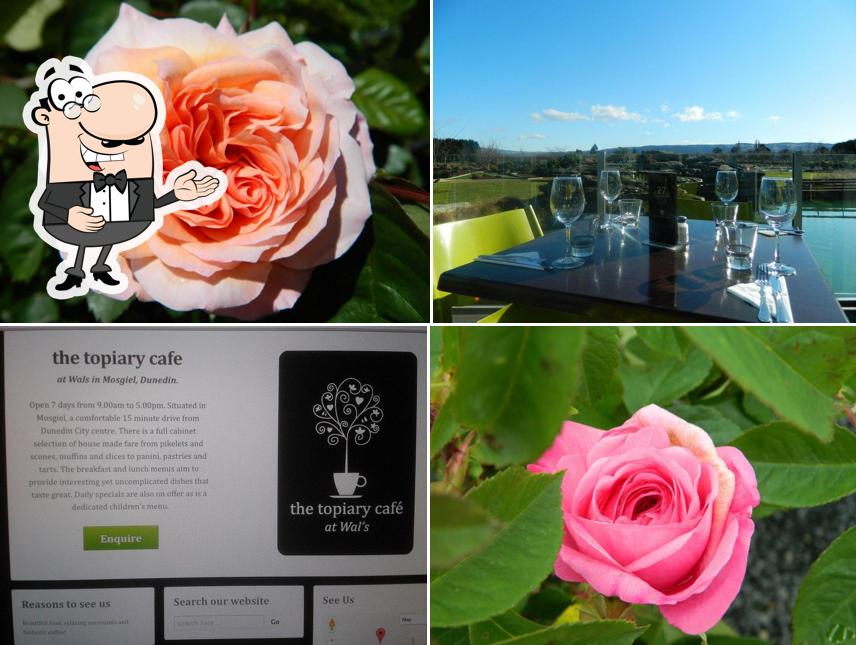 Topiary Café in Mosgiel - Restaurant menu and reviews