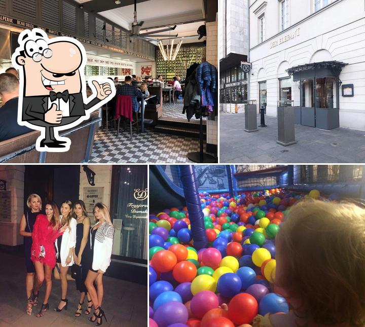 Der Elefant pub & bar, Warsaw - Restaurant menu and reviews