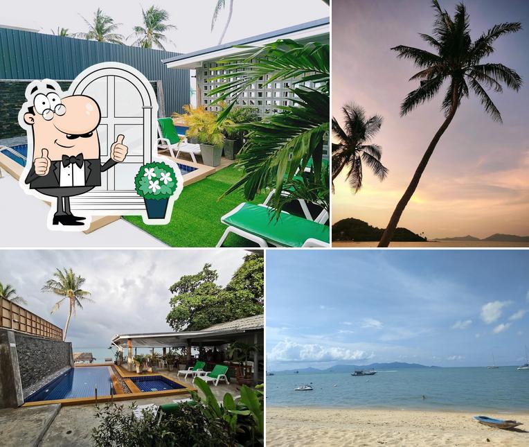 Pico Samui restaurant, Ko Samui - Restaurant menu and reviews