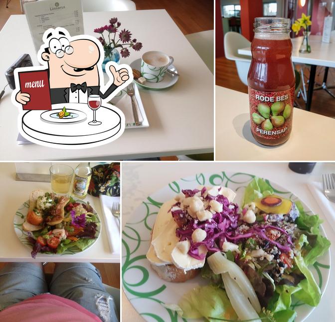 Linnaeus restaurant, Wageningen - Restaurant menu and reviews