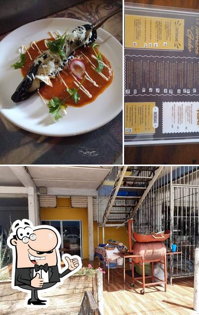 La Terraza Del Gabo, Reforma - Menú del restaurante, precios y reseñas